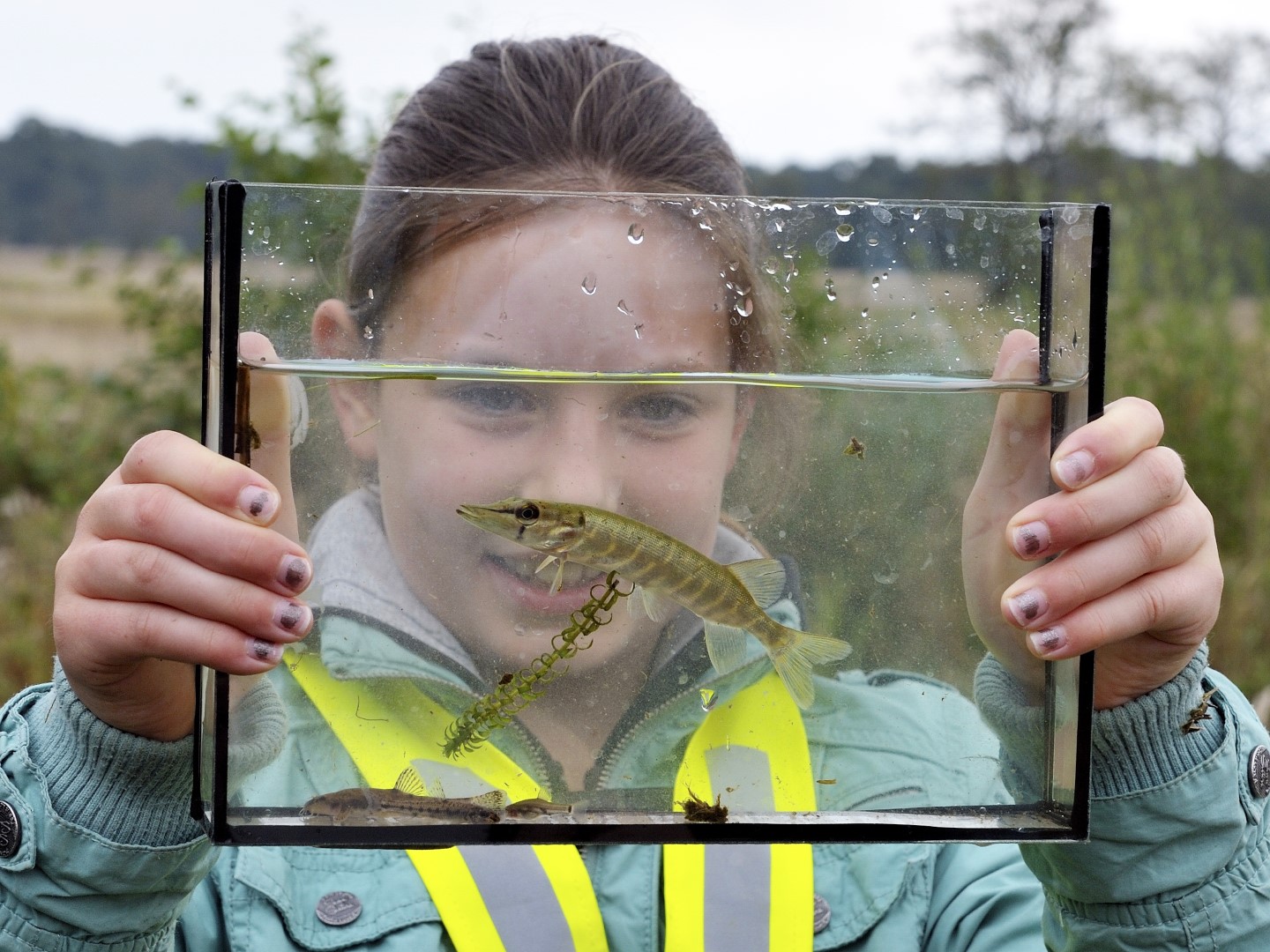 Spreekbeurt over vissoorten